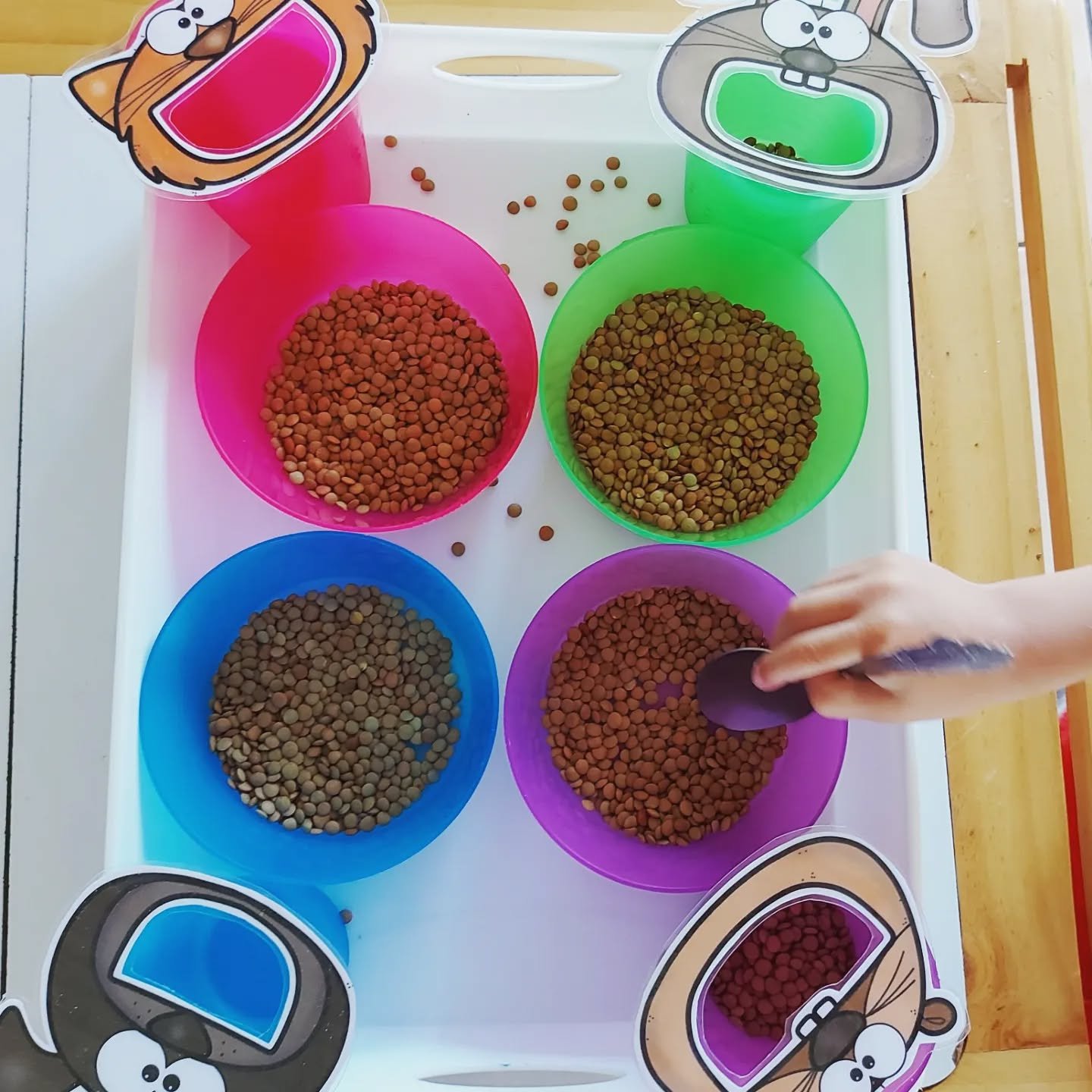 15 Fine Motor Activities for Toddlers | Fun & Easy Skill-Building Ideas